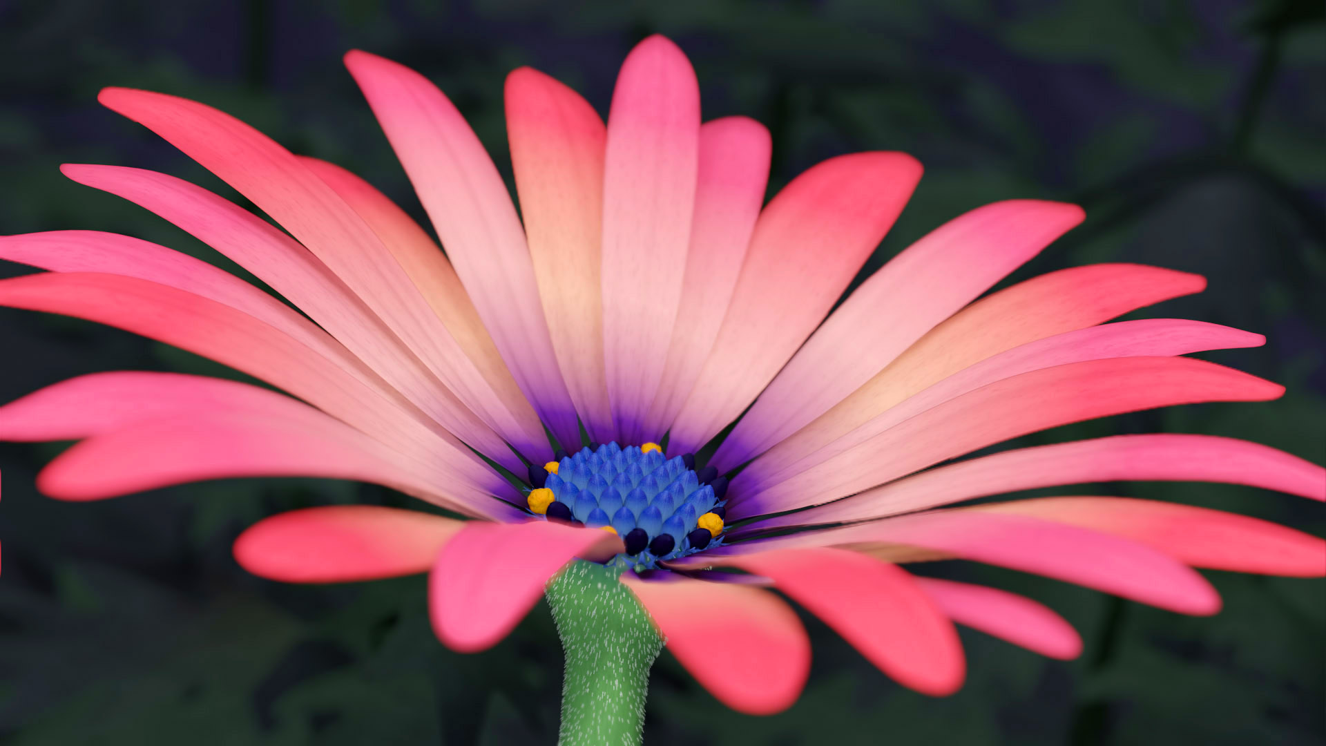 3D Flower